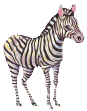 Zebras Animals Animated Clipart GIF Free