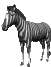 Zebras Animals Animated Clipart GIF Free