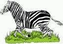 Zebras Animals Animated Clipart GIF Free