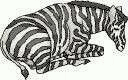 Zebras Animals Animated Clipart GIF Free